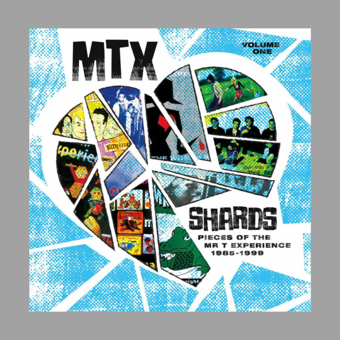 Mr. T Experience - Shards – Skeletunes Records